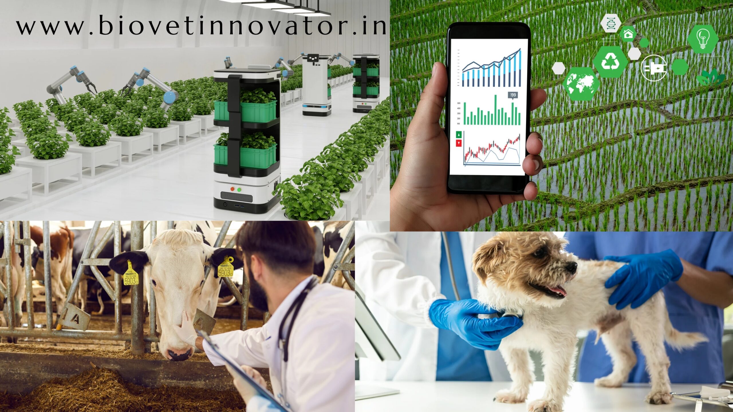 Bio Vet Innovator Magazine - Bio Vet Innovator Magazine Fueling The ...